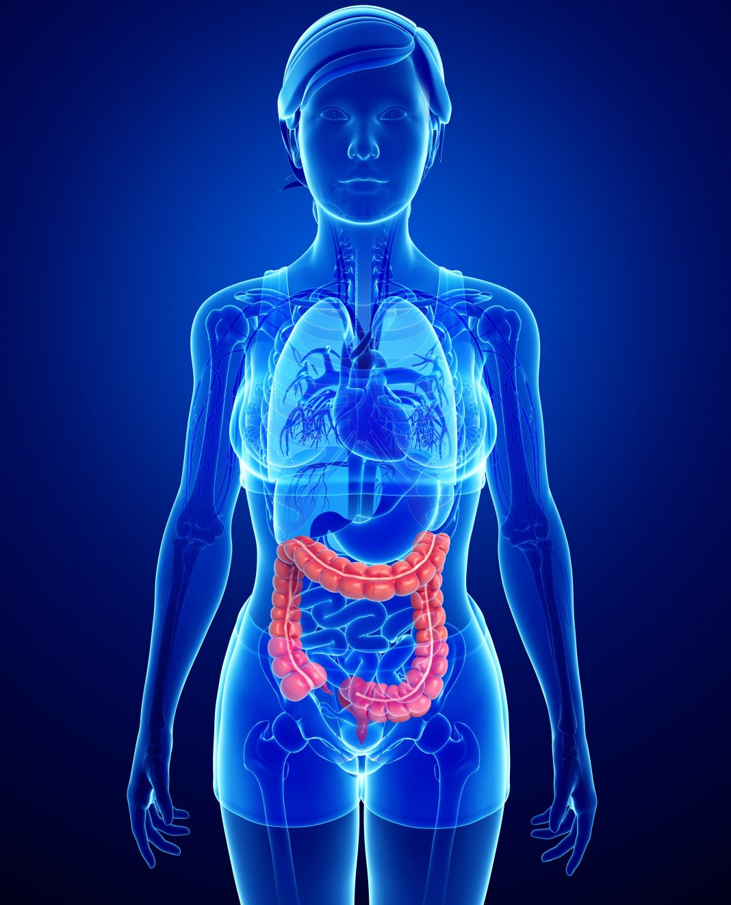 function of the colon Archives - Family Health Advocacy